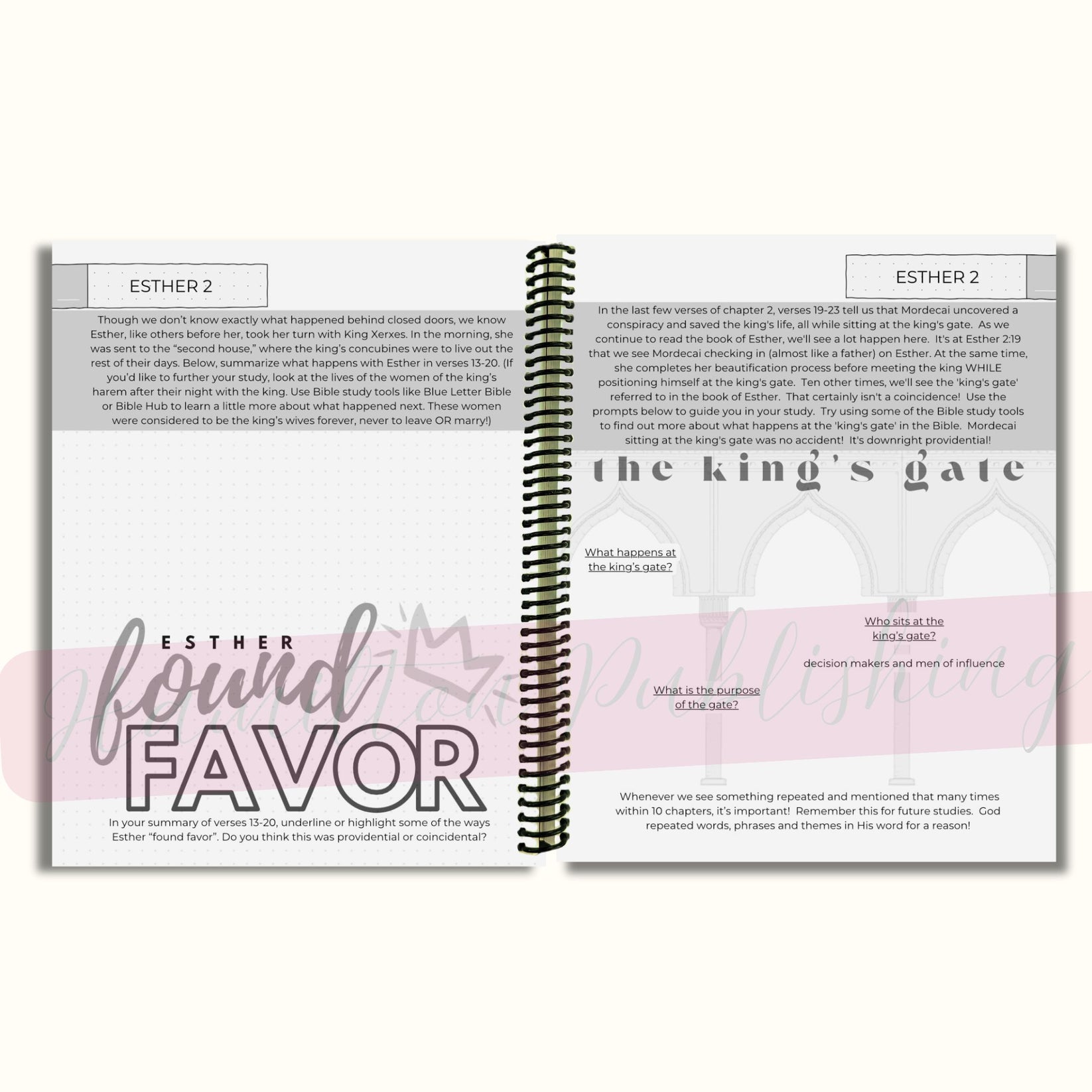 Esther Bible Study Journal - Providence & Redemption | Spiral-Bound ...